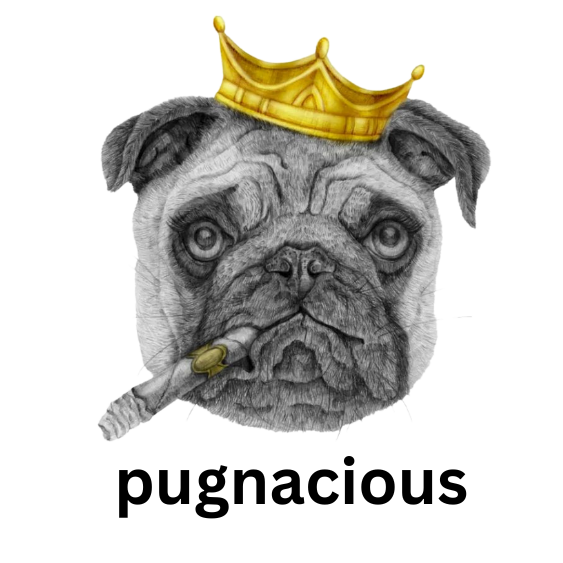 Shining Stars - AAF Dallas